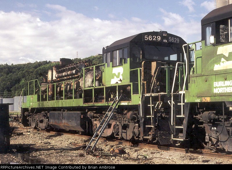 BN U25C 5629 at Scrapper